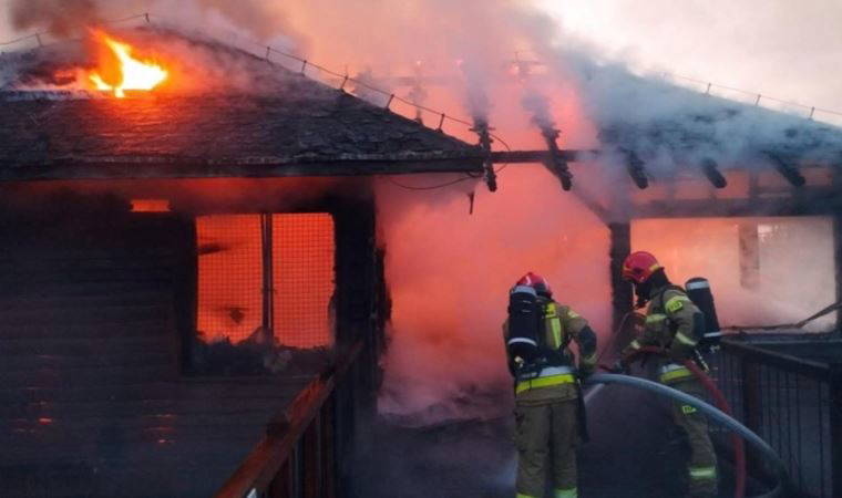 Polonya'da hayvanat bahçesinde yangın: 7 maymun, 40 papağan telef oldu ...