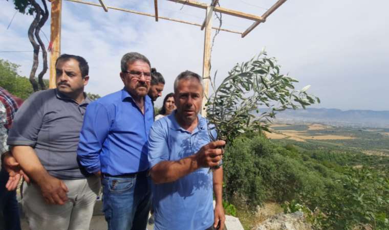 Depremzede yurttaş adalet peşinde: 'Bizi de öldürmeyin' - Son Dakika ...