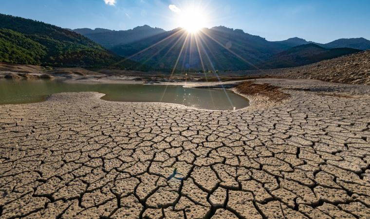 Dünya Çevre Günü: Türkiye'de çevre sorunlarının çözümünü zorlaştıran 4 ...