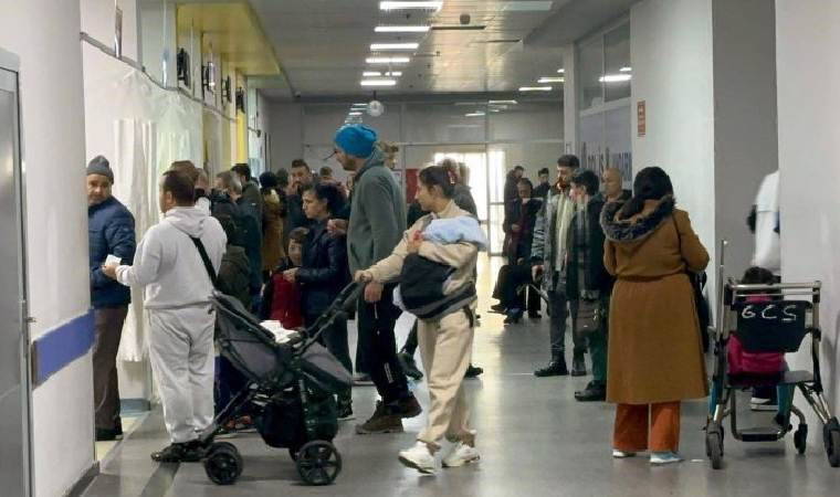 Uzmanlardan 'domuz gribi' uyarısı: 'Yüzde 70’lere varan oranlarda ...