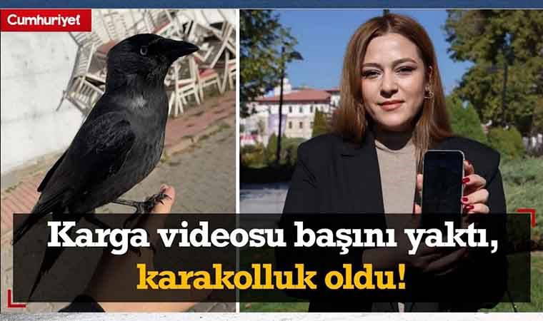 Karga videosu sosyal medyada viral olmuştu! O video başını yaktı, karakolluk oldu - Son Dakika ...