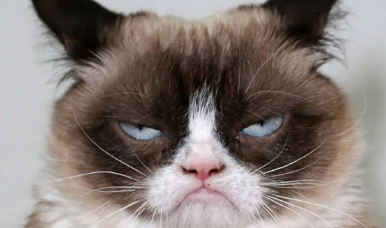 Onlarla baş etmek neredeyse imkansız! İşte memnun edilmesi zor olan 4 ...