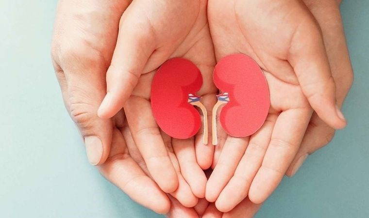Böbrek sağlığına zarar veren 7 alışkanlık: Böbrek sağlığını tehdit ...