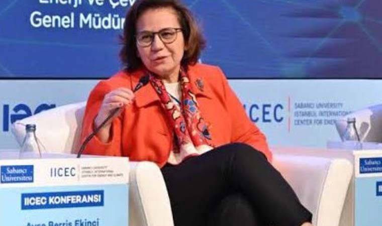 Ayşe Berrin Ekinci kimdir? Dışişleri Bakan Yardımcısı Ayşe Berrin ...