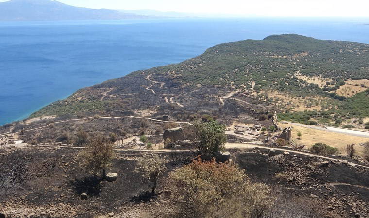 Assos yangın sonrası yeniden ziyarete açıldı - Son Dakika Türkiye ...