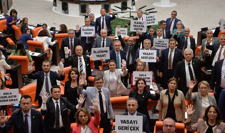 CHP'den sokak hayvanları yasa tasarısına protesto: 'Kanlı yasaya hayır ...