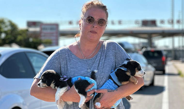 Edirne'de barınaktan sahiplendiği 'Çiko' ve 'Çilek'i yaşadığı Almanya ...