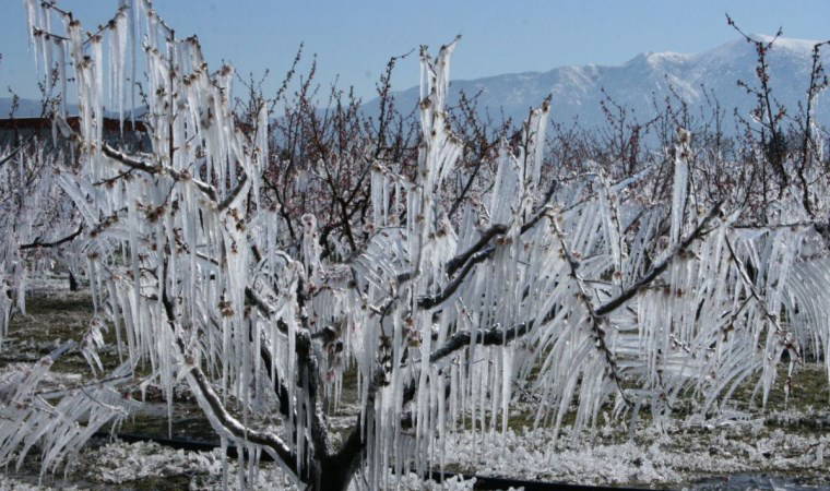 Ankara Valiliği'nden zirai don uyarısı - Son Dakika Türkiye Haberleri | Cumhuriyet