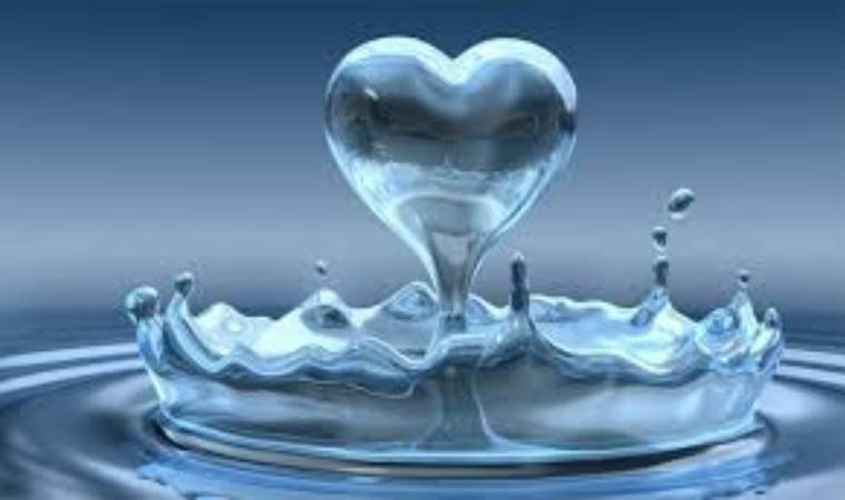 Suyun izindeki yaşamlar - Son Dakika Pazar Yazıları Haberleri | Cumhuriyet